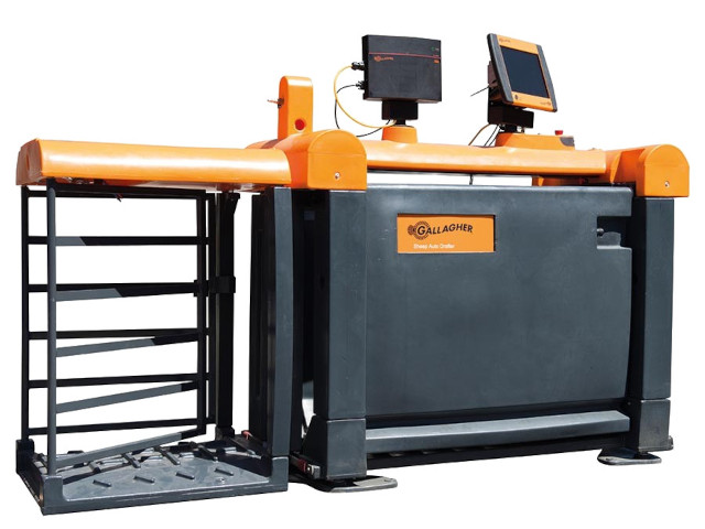 Sheep Auto Drafter | EKOTARIM Hayvan Yönetim Sistemleri