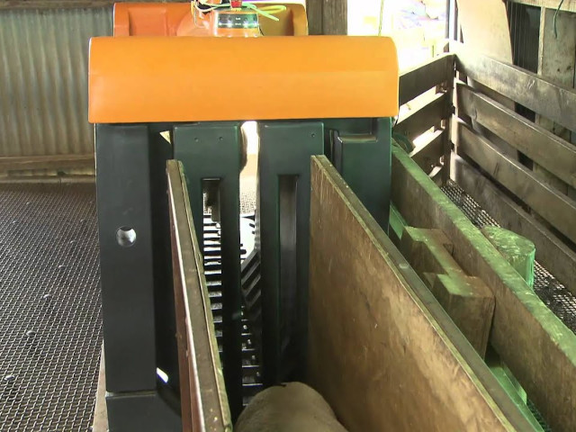 Sheep Auto Drafter | EKOTARIM Hayvan Yönetim Sistemleri